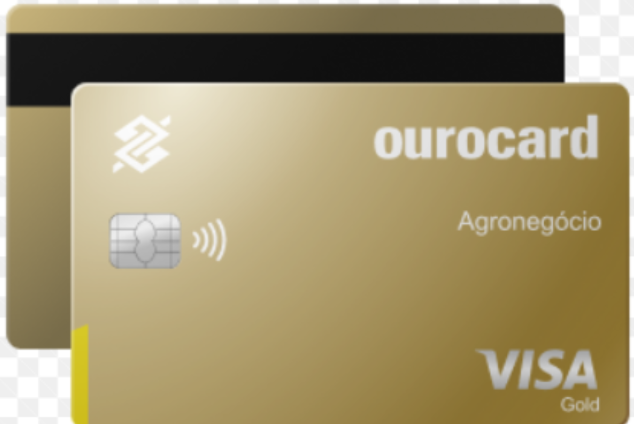 Conheça aqui tudo sobre o Ourocard Visa Gold: benefícios e recompensas ...